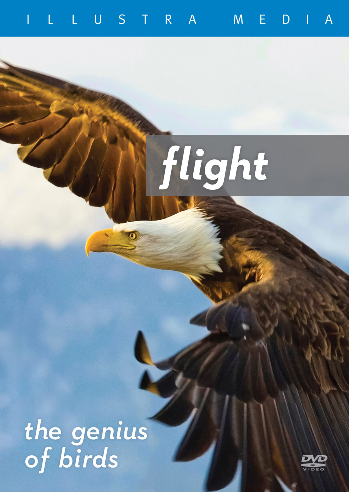 A Bird is Born - The John 10:10 Project